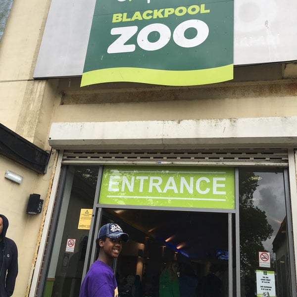 Blackpool Zoo - Zoo