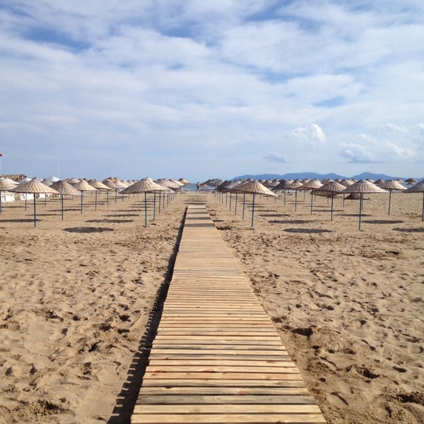 Boss beach