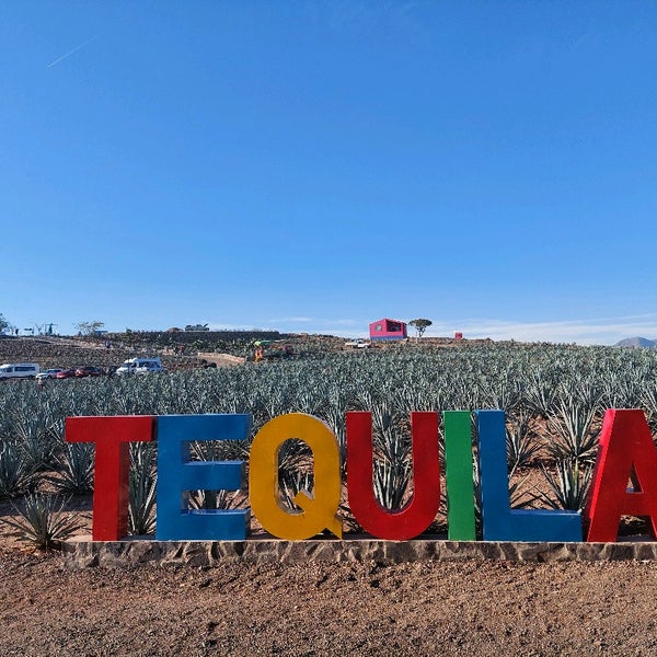 Expendio De Tequila El Columpio - Tequila, Jalisco