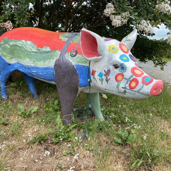 Buckland Farm Market - 16 tips from 431 visitors