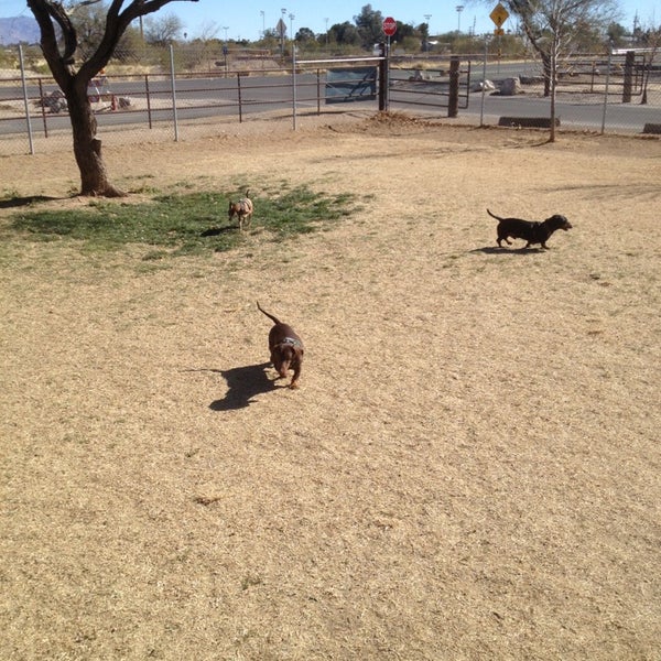 What Happened To Fenton The Dog