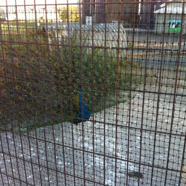 Merrymead Farm - Farmers Market in Lansdale