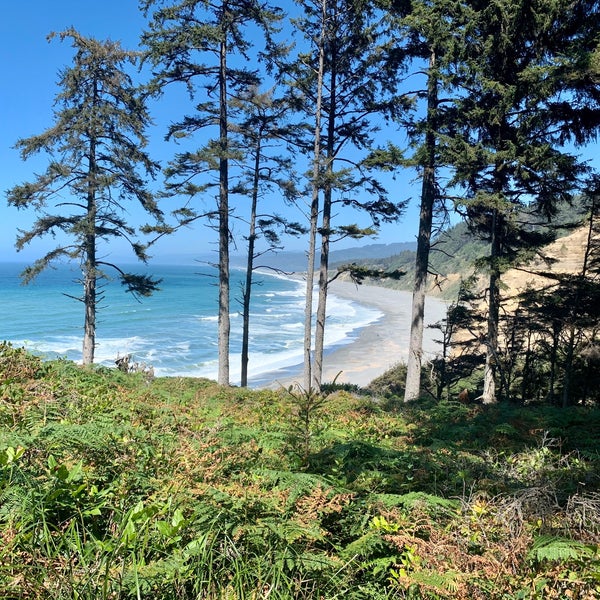 Agate Beach - 5 tips from 177 visitors