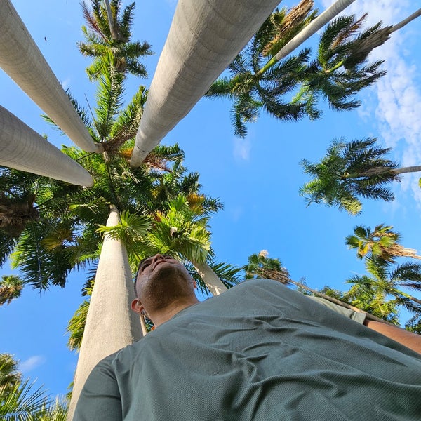 Parque Sinaloa - 43 tips from 923 visitors