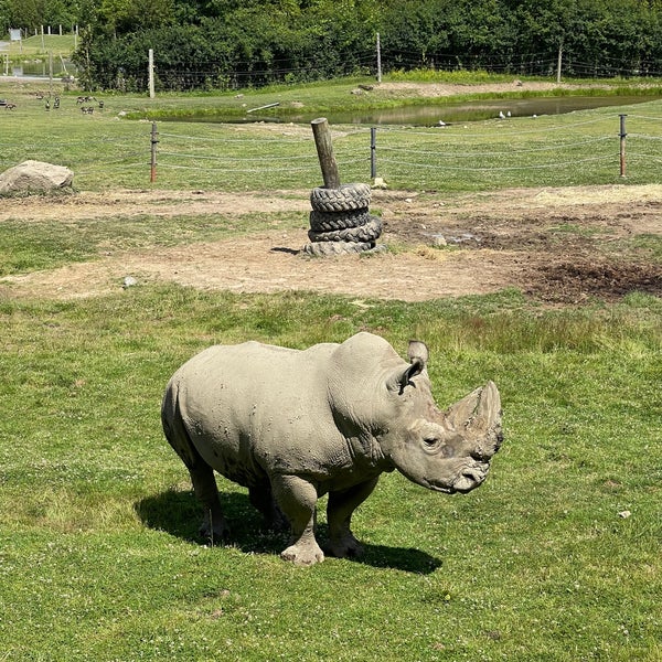 Parc Safari - 15 tips from 609 visitors