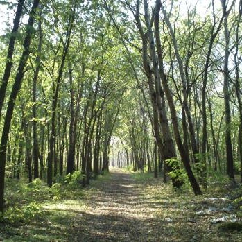 Subotička peščara - Subotica, Autonomna Pokrajina Vojvodina