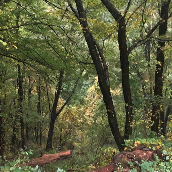 Unicoi Gap - Macedonia, GA