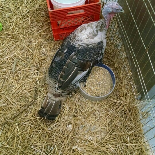 Teske's - Pet Supplies Store