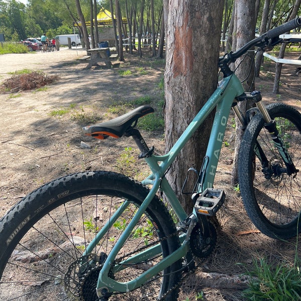 Virginia Key MTB Trails - Hiking Trail in Miami