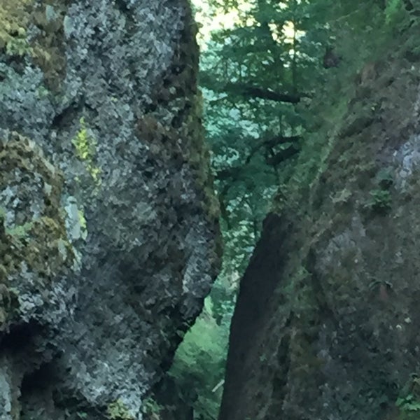 Oneonta Gorge (Now Closed) - Other Great Outdoors in Portland