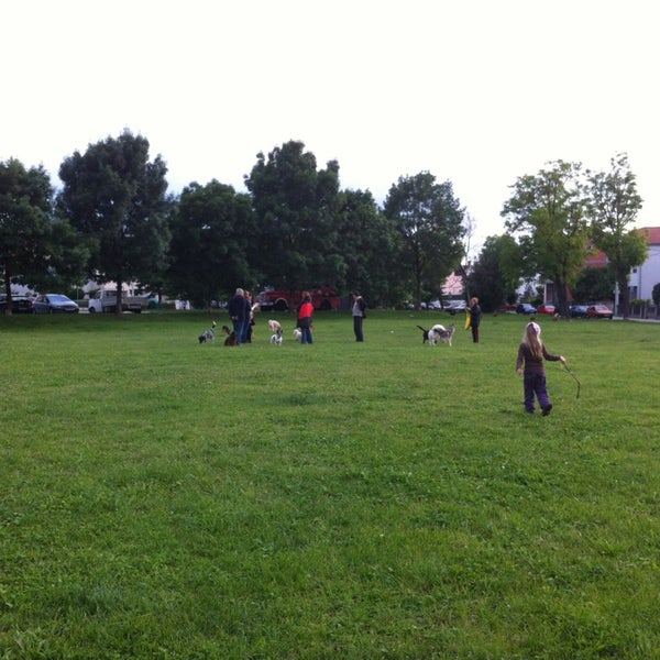 Velika livada za pse - Jarun - 1 tip