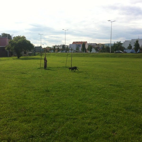 Velika livada za pse - Jarun - 1 tip