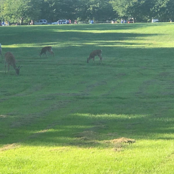 Joe Palaia Park - 8 tips from 441 visitors