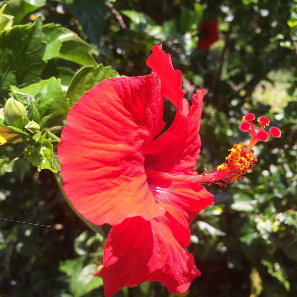 Photos at Hardin Ng Postema Resort - 4 tips from 275 visitors