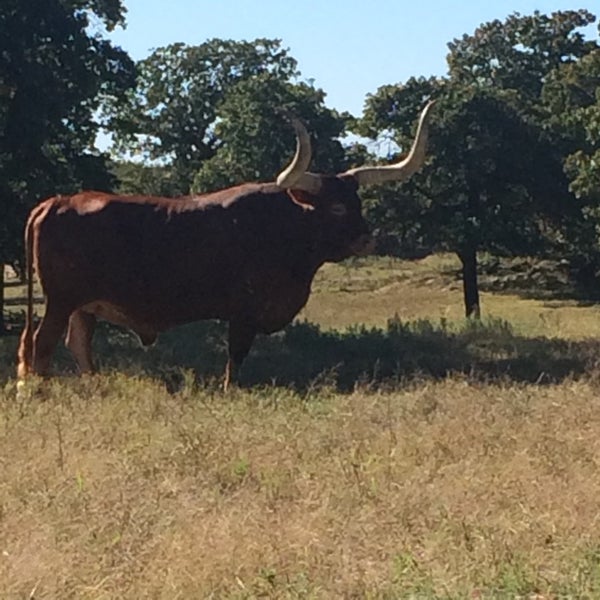 Photos at Woolaroc Museum and Wildlife Preserve - Museum in Bartlesville