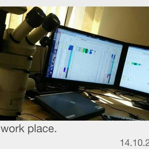 Photos at Sarawak Shell Berhad Miri - Office in Miri