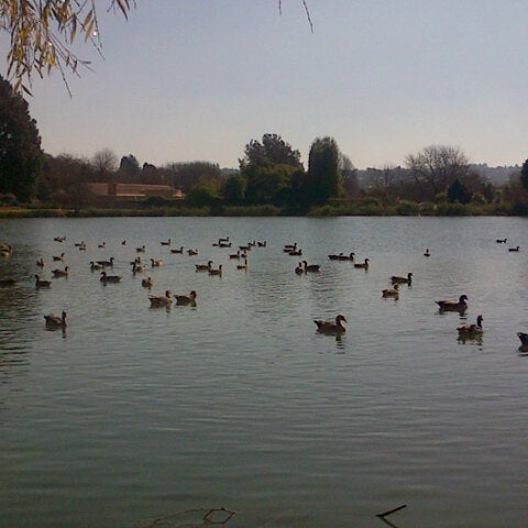 Rhodes Park - Cnr Cumberland and Ocean St