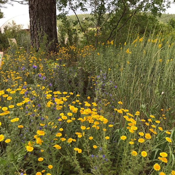 Arboretum at Flagstaff - Garden in Flagstaff