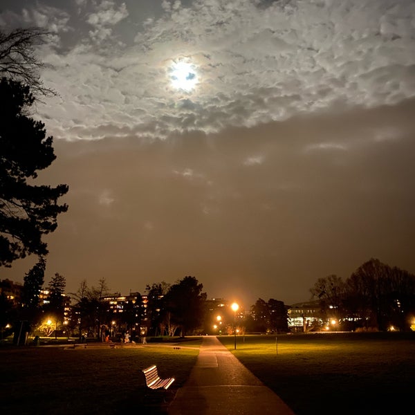 Parc Bertrand - Park