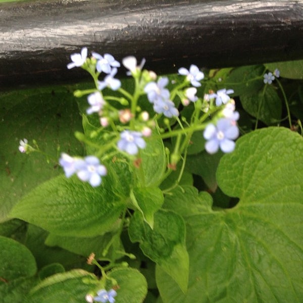 Photos at Engineers' Gate - Central Park - 5th Ave