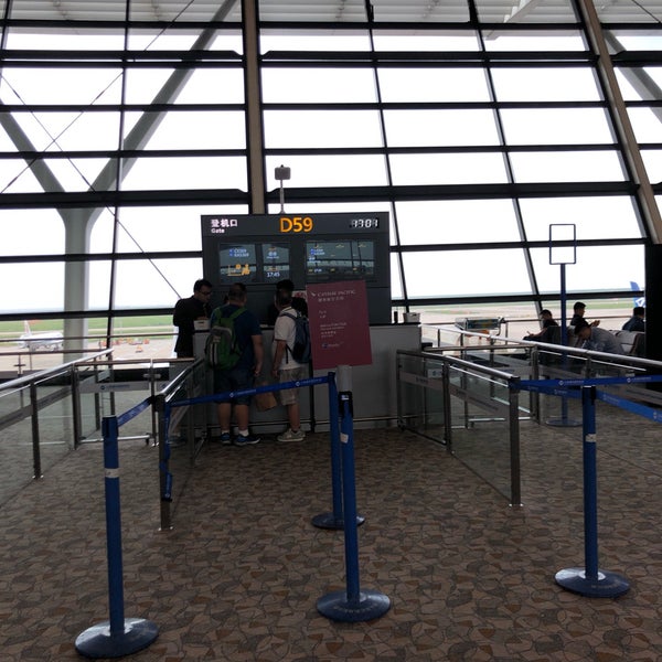 Gate D59 - Pǔdōng - 浦东, 上海市