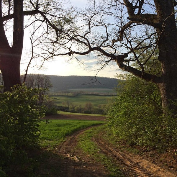 Photos at Bernel Road Airport Park - Park in State College