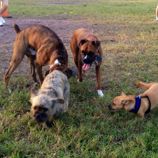 Coral Springs Dog Park - Dog Park