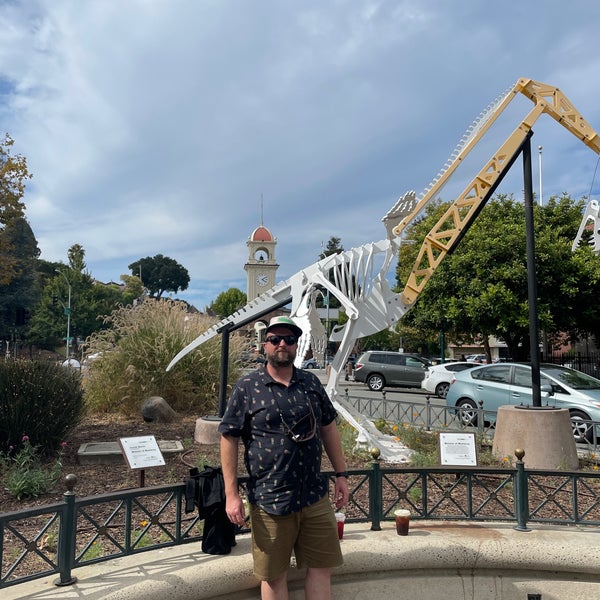The Clock Tower - Other Great Outdoors in Downtown Santa Cruz