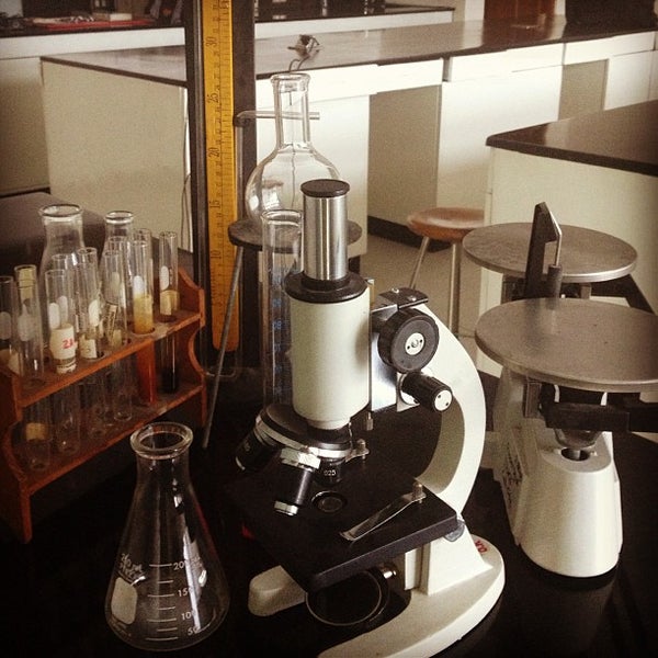 Treston International School - College & University in Taguig City