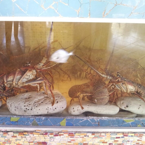 Restaurant le COLOMBO - 5 tips