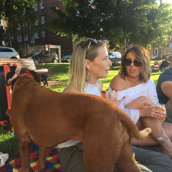 Photos at Beare Park - Park in Elizabeth Bay