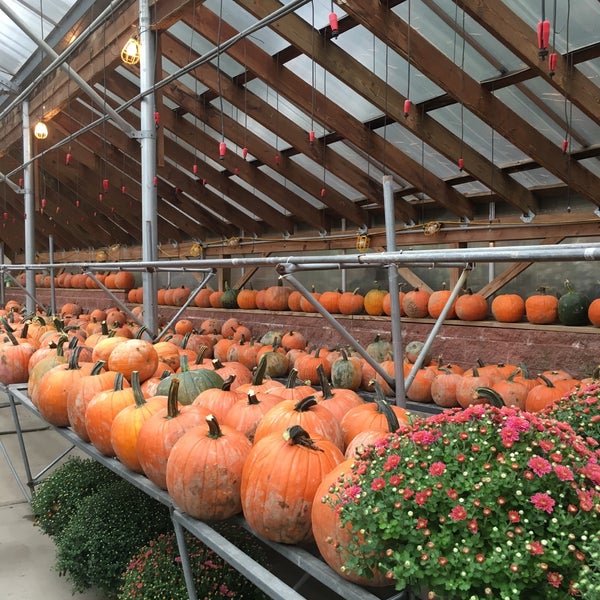 Photos at Simmons Farm Rt.19 Market - 4 tips