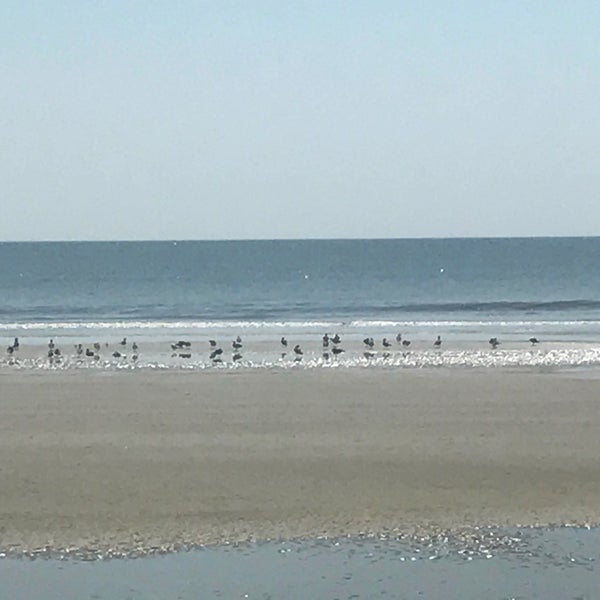 Beach Mile Marker 46 - 2 tips from 92 visitors