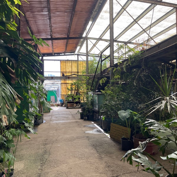 Gator Farm - 6 tips from 231 visitors