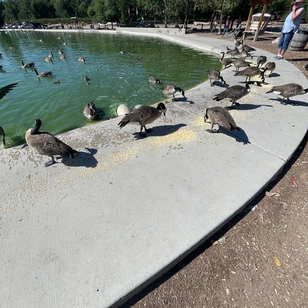 ABQ BioPark Tingley Beach - Beach