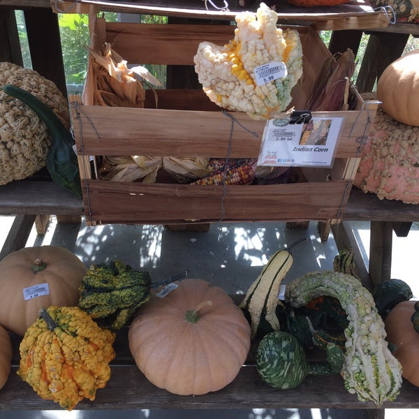 Country Flower Farms - 2 tips