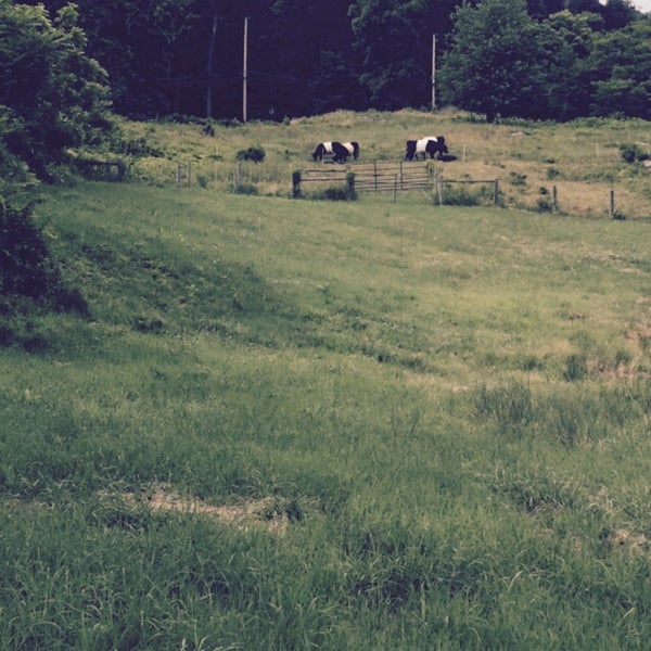 Hilltop Hanover Farm - 2 tips