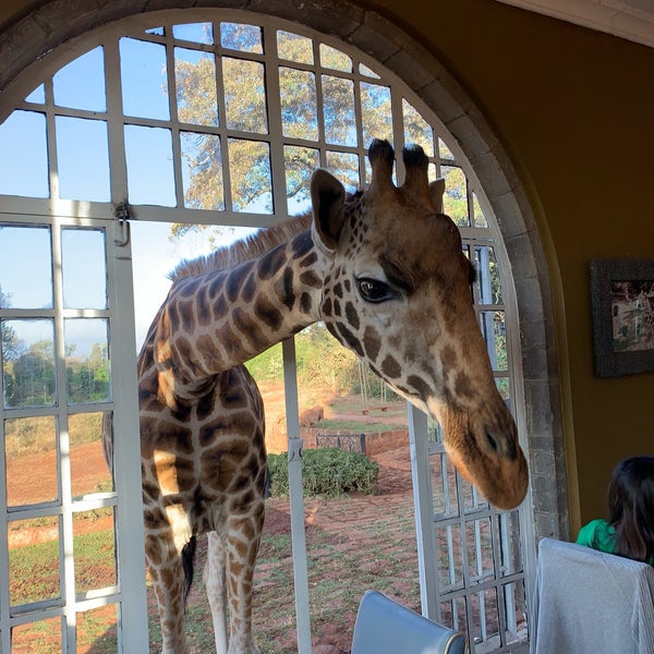 Giraffe Manor - Resort