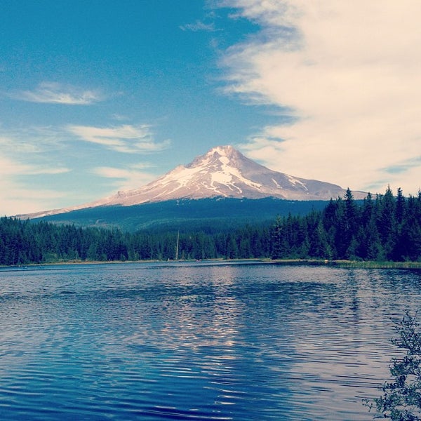 Mt Hood National Forest - Forest in Mt Hood