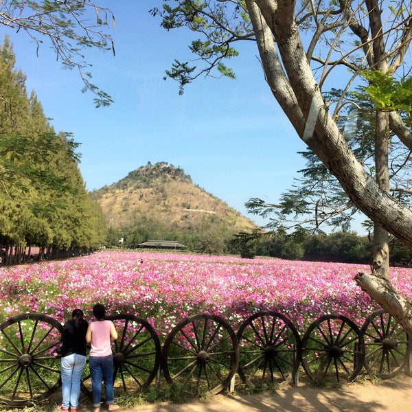 Jim Thompson Farm บูธฟักทอง โครงการ2 - 119 visitors