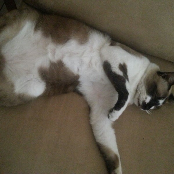 Photos at Lorong Pokok Resam 5 Taman BDC - Taman BDC