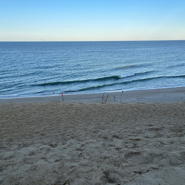 The Beachcomber - 33 tips from 2152 visitors