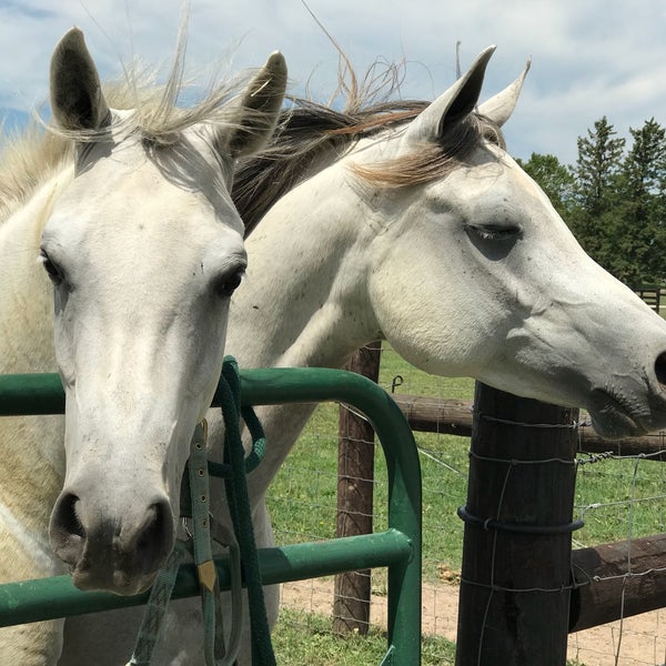 MSU Horse Barns - Lansing, MI