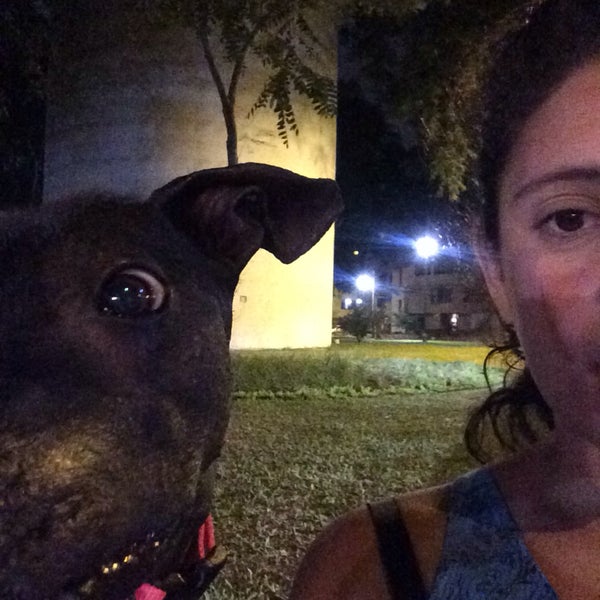 Parque Mariscal Castilla - Henry Lewer