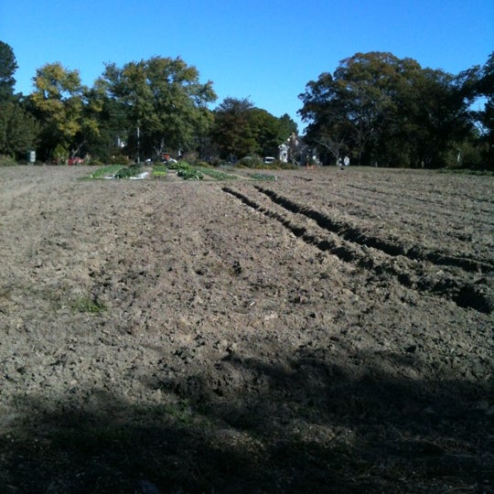 Interfaith Community Garden - 2 tips