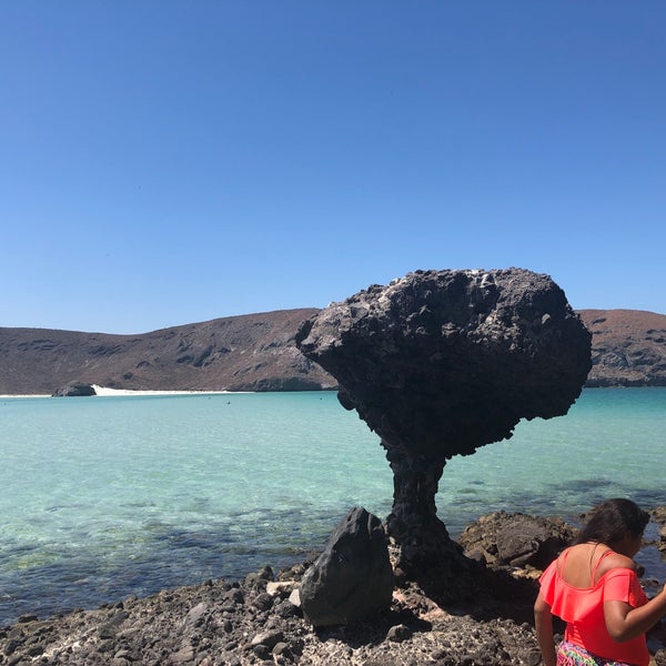 Hongo de Balandra - La Paz, Baja California Sur