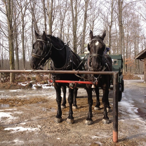 Mountsberg Conservation - Trail in Campbellville