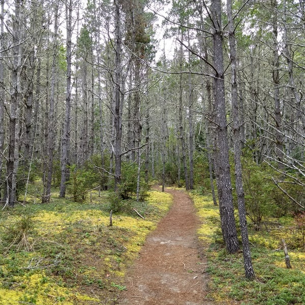 Photos at Leadbetter Point State Park - State Route 103