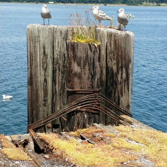 Drayton Harbor - Drayton Harbor