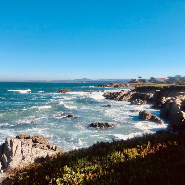 Monterey Beach - Beach in Pacific Grove